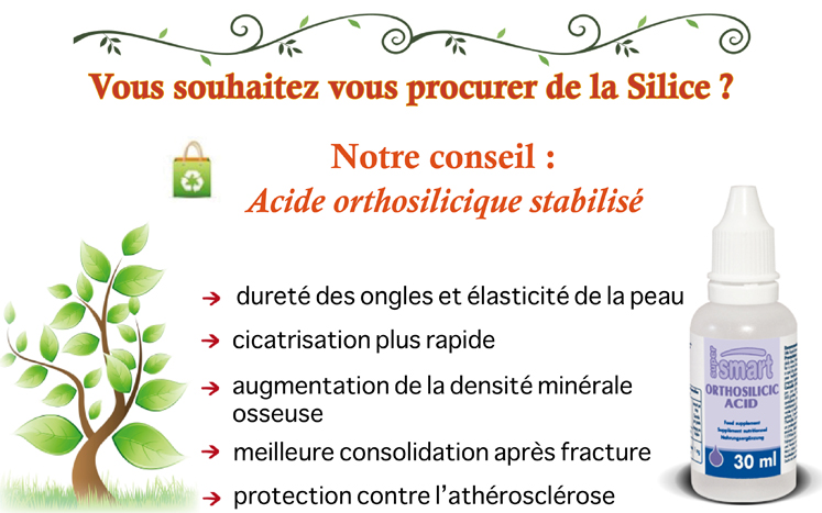 Silice supplément nutritionnel - Wiki Bio
